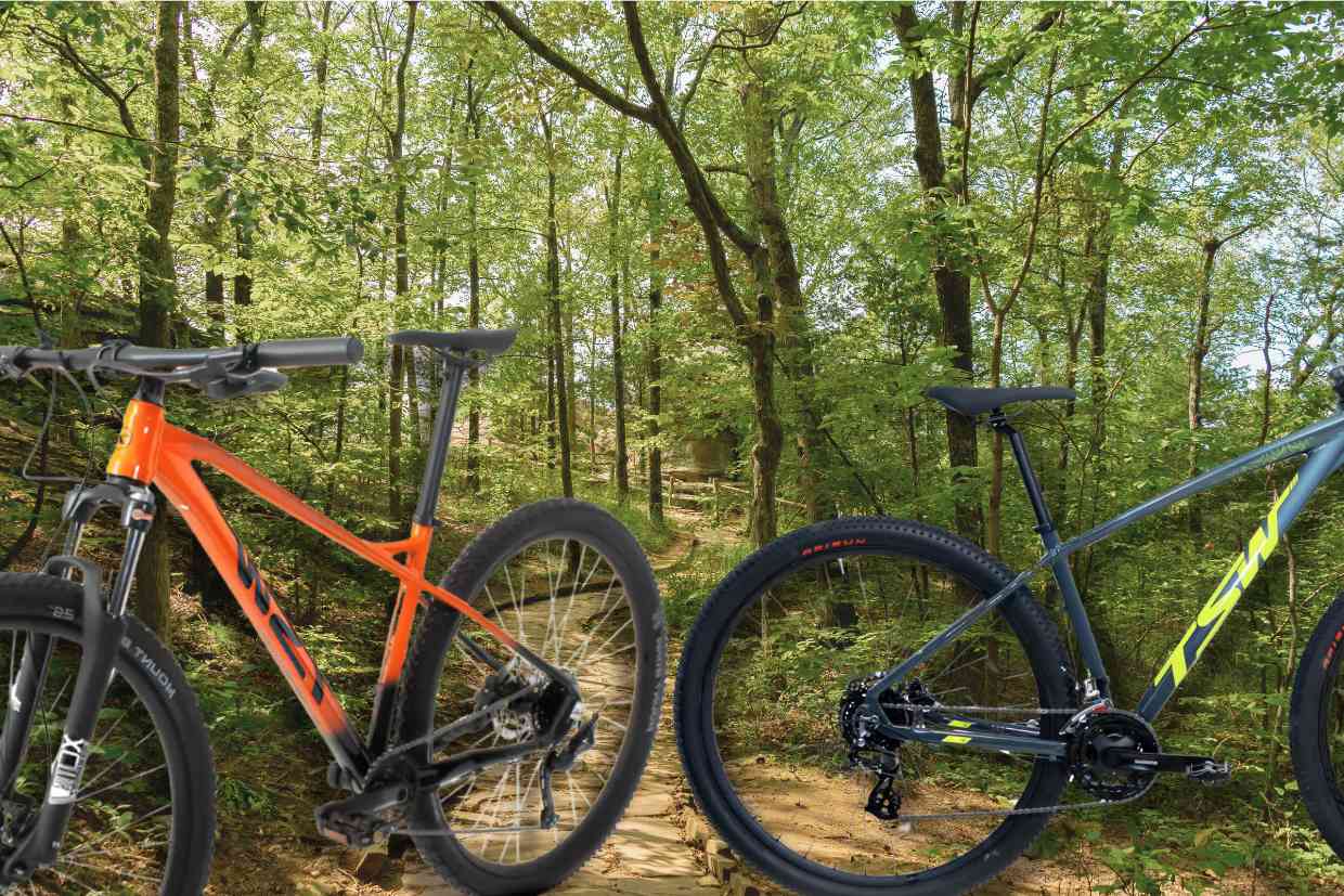 TSW Hunch: 6 destaques da Bicicleta para iniciantes no MTB